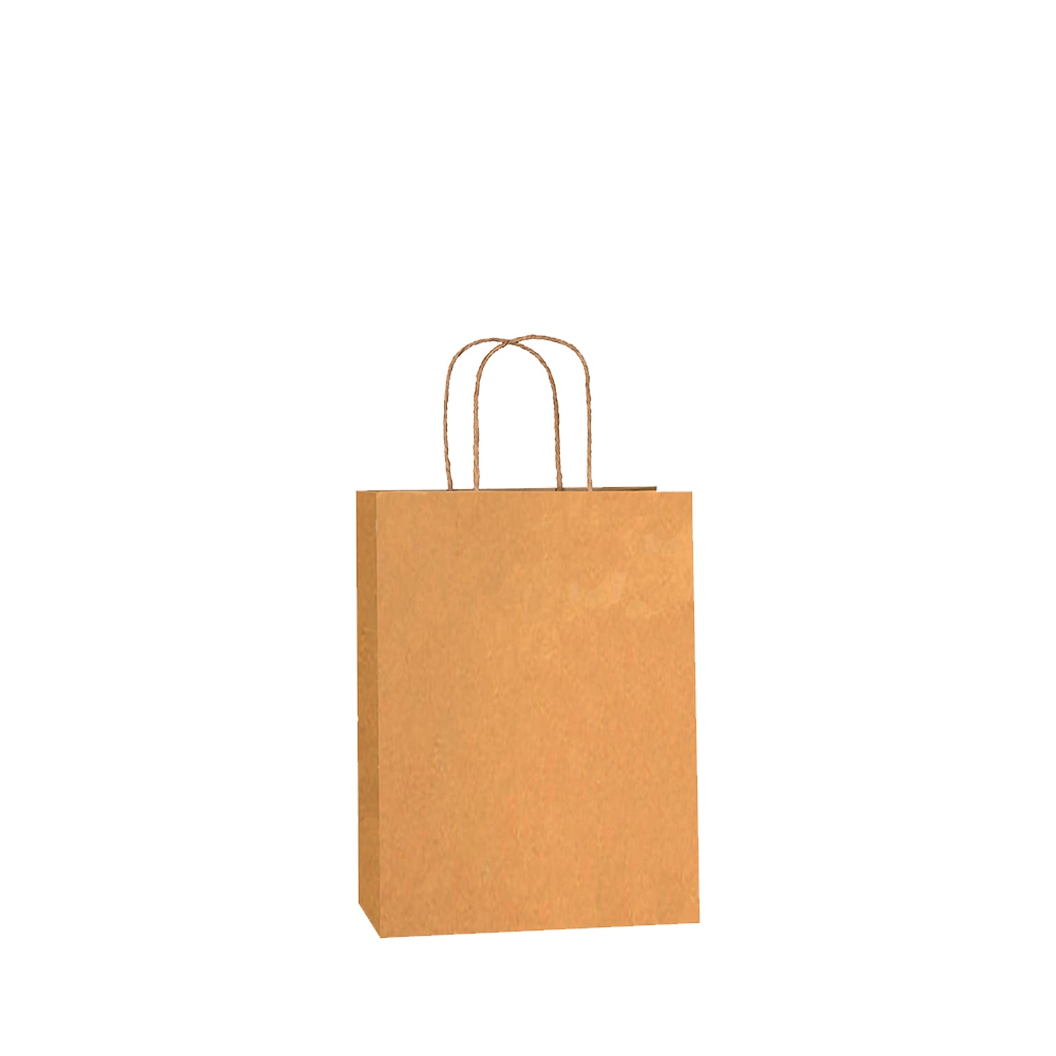 Brown Kraft w/twist handles (price per 250) – BagMasters Australia