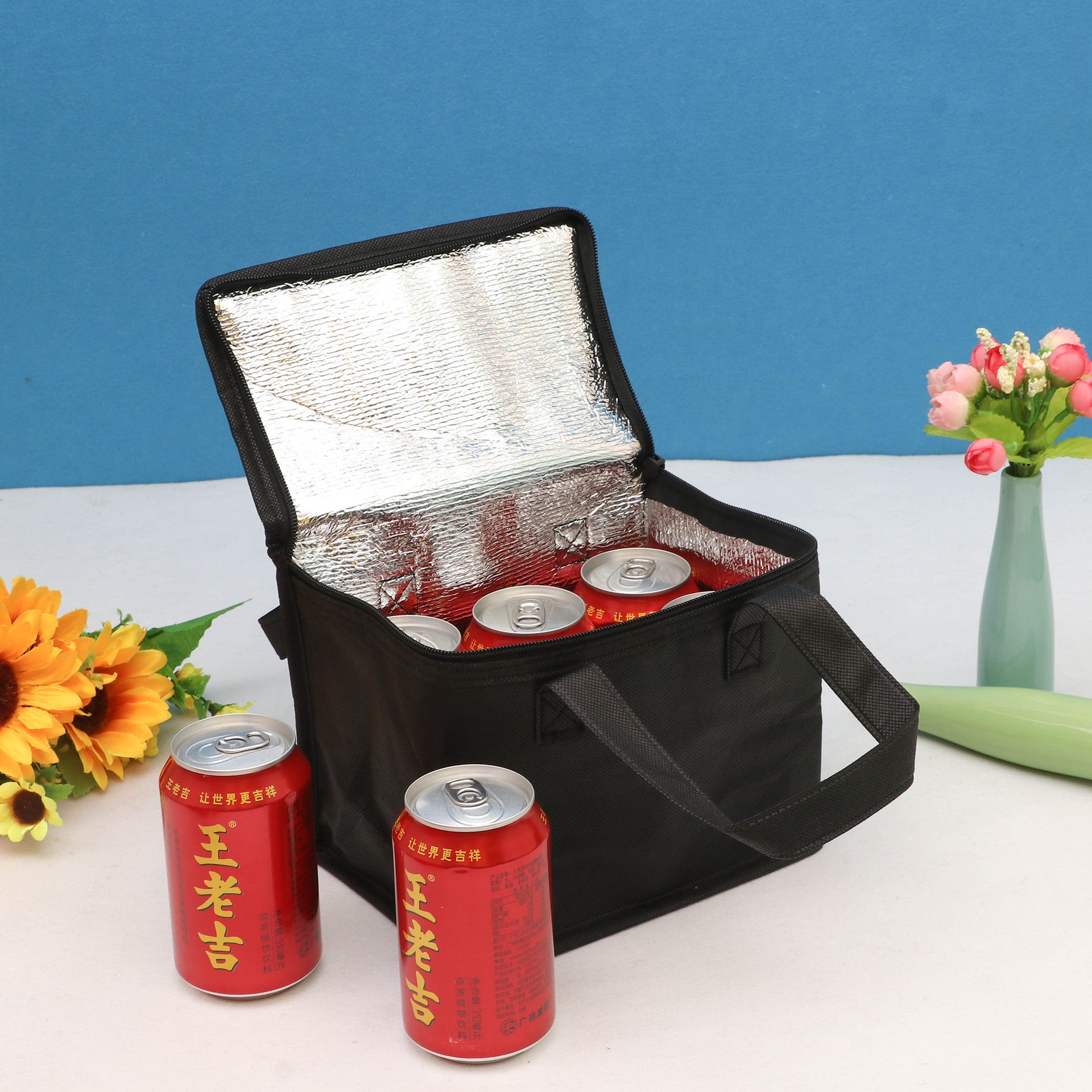 Cool Bag (Non woven) – BagMasters Australia